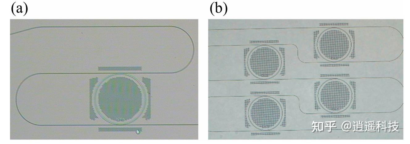 基于级联Mach-Zehnder干涉仪耦合谐振器的高消光光电子滤波器 - 知乎