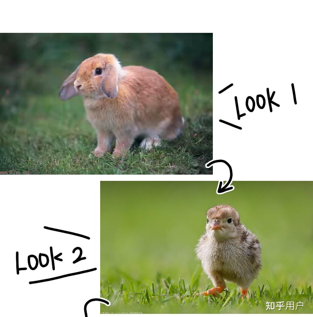 怎么给二年级小学生讲鸡兔同笼问题？ - 知乎