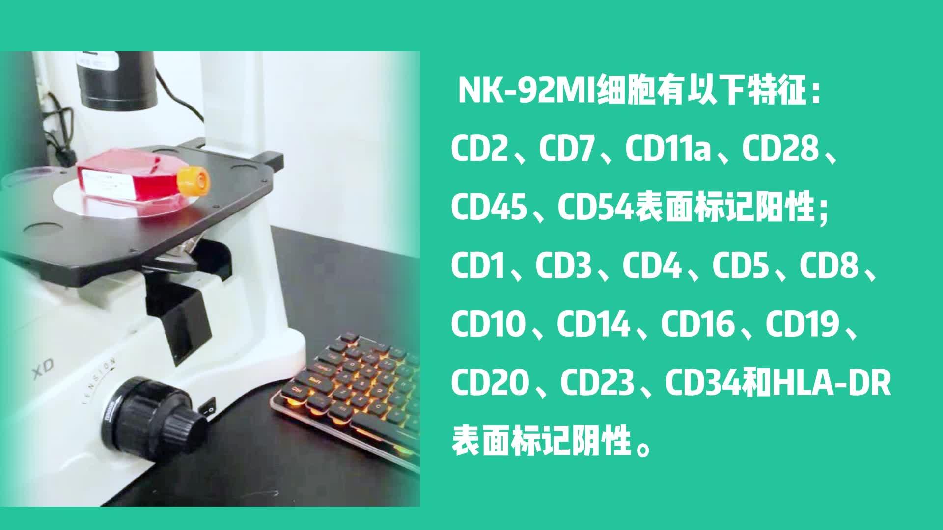 NK-92和NK-92MI做实验有什么区别？ - 知乎