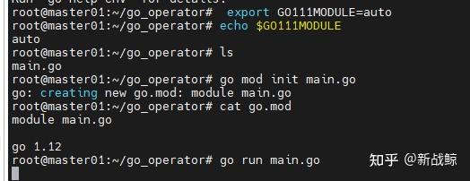 如何在国内下载安装 Go ，安装 Go modules ? - 知乎