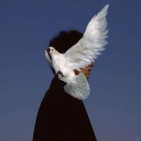 如何在CMake工程中使用Rust库blazesym - 知乎