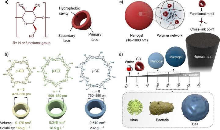 《Carbohydrate Polymers》综述：环糊精基纳米凝胶/微凝胶的制备、应用与展望 - 知乎