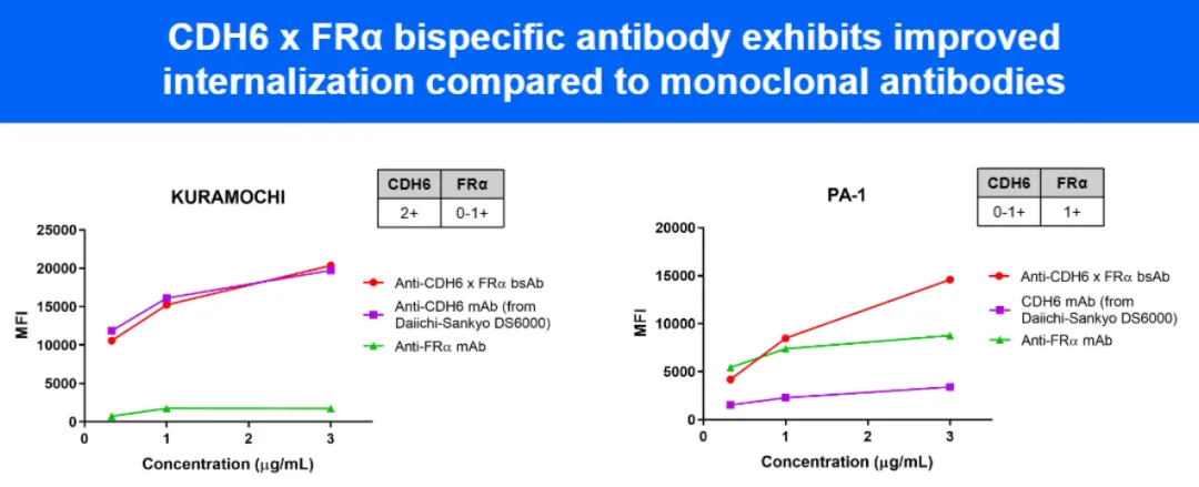 AACR2025：新型叶酸/CDH6双靶点+双毒素ADC克服传统ADC耐药，卵巢癌模型完全消退 - 知乎
