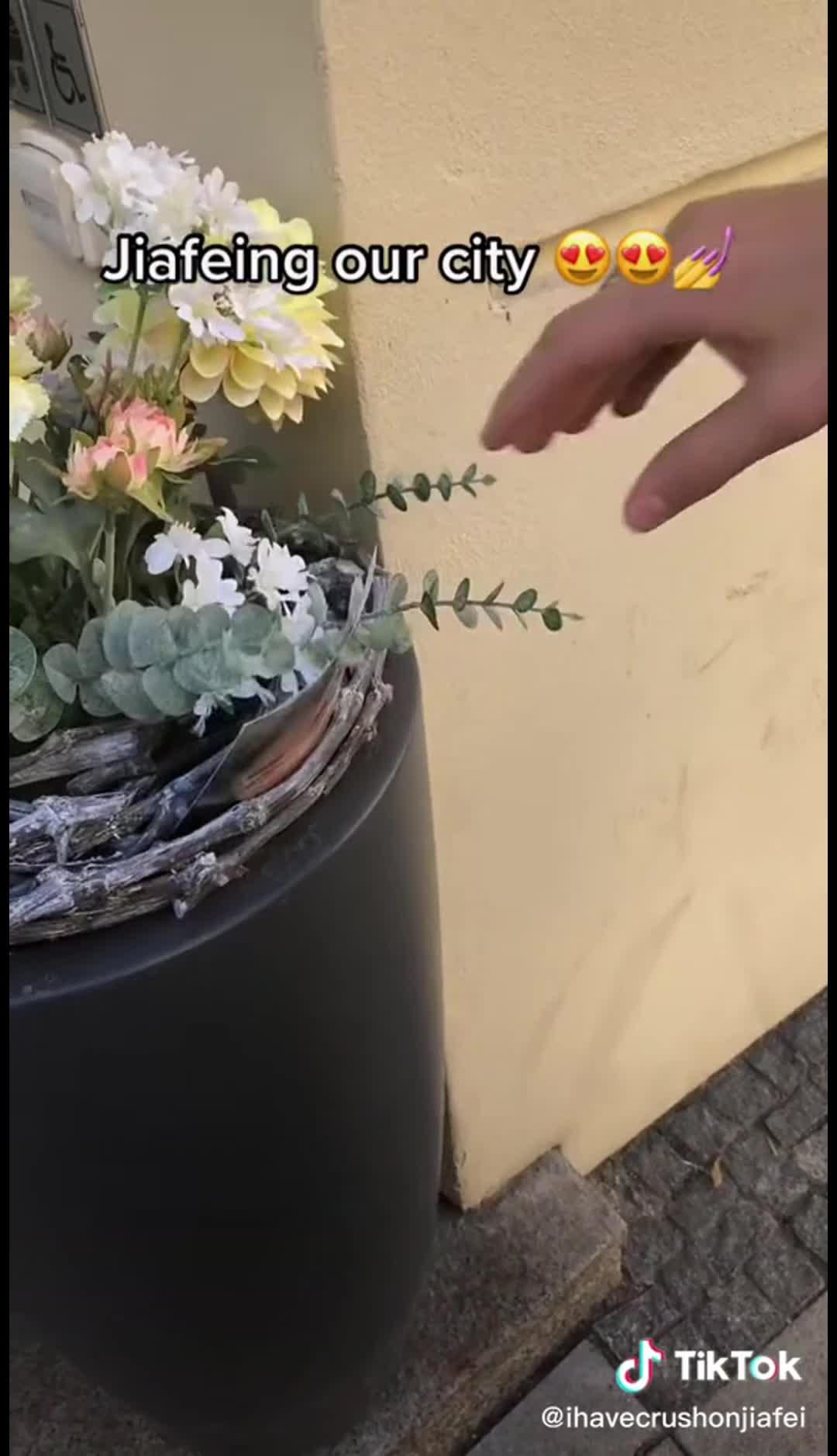 Jiafei核：带货短视频孕育出了全世界最抽象的发疯文化 - 知乎