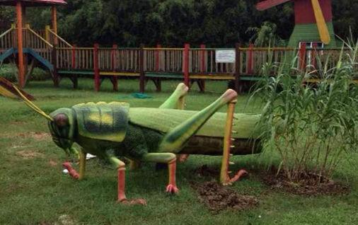 #D2#Fossil found of giant car-sized insect - 知乎