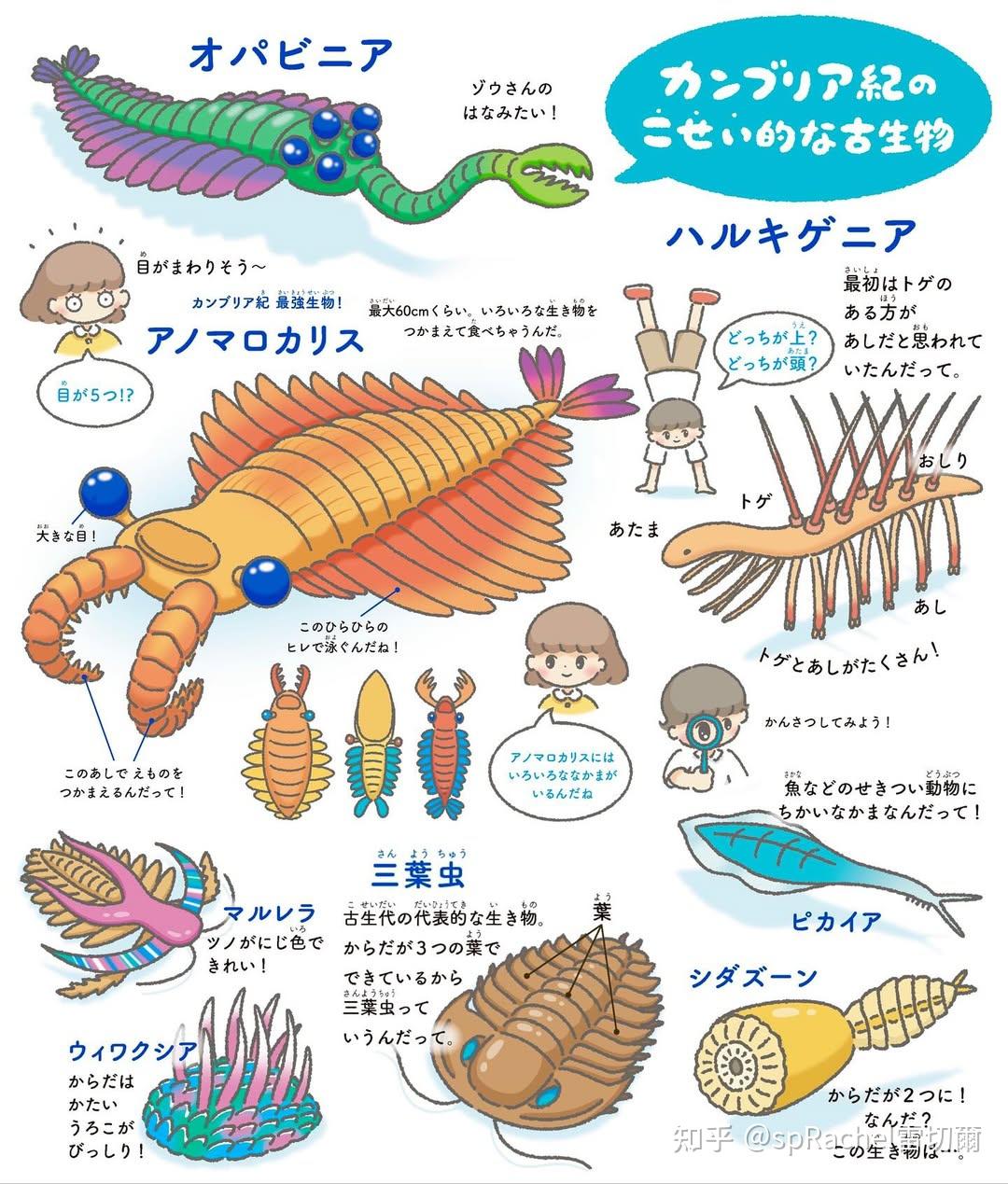 为了奖励自己年末不花钱，我变身发古生物图怪，字都不写普通话了，爱看看 - 知乎