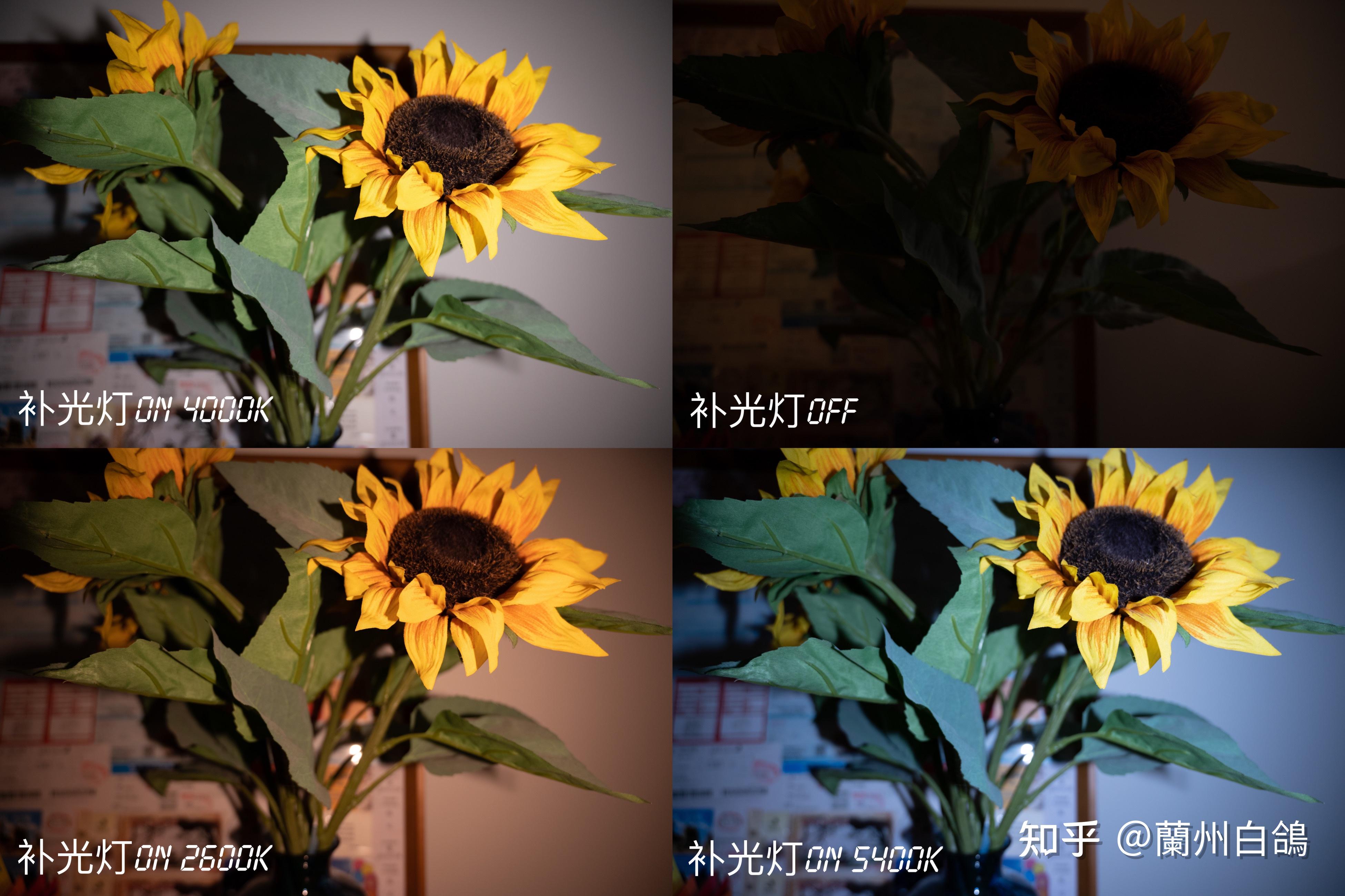 智云新出的WB3S和WB3有啥区别？ - 知乎