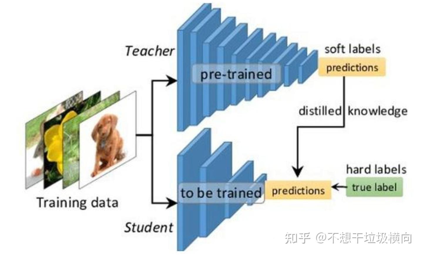 Diffusion扩散过程(3) Rectified flow + opensora代码分析 - 知乎