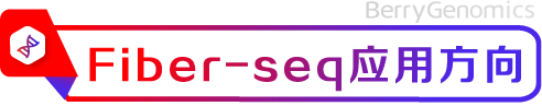 贝瑞基因全面解析丨Fiber-seq引领多组学研究新浪潮 - 知乎