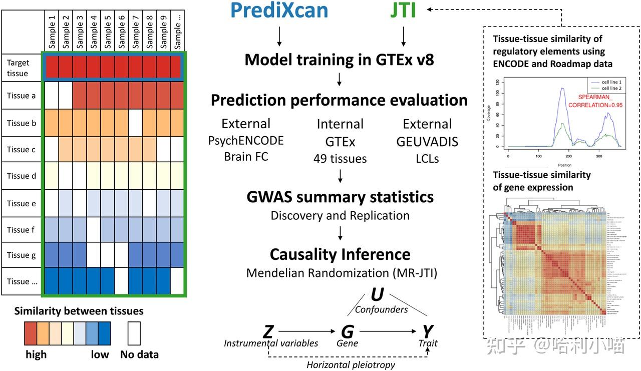 [文献分享] IF30+ MR-JTI TWAS模型 详细解读 - 知乎