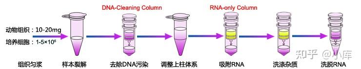 翻车记（一）：RNA提取翻车纪实 - 知乎