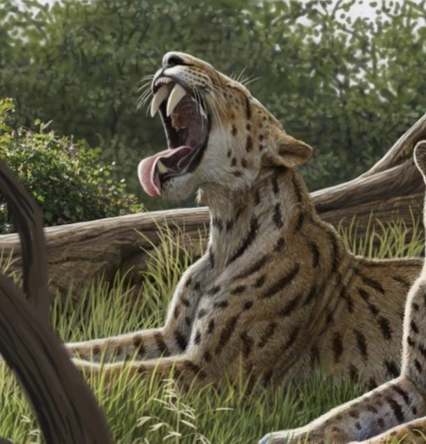 你认为哪些古生物译名欠妥？ - 知乎