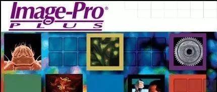 聊一聊 Image-Pro Plus 测量平均光密度。 - 知乎