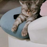 CPython源码学习：5、Python如何加载so/pyd动态库？ - 知乎