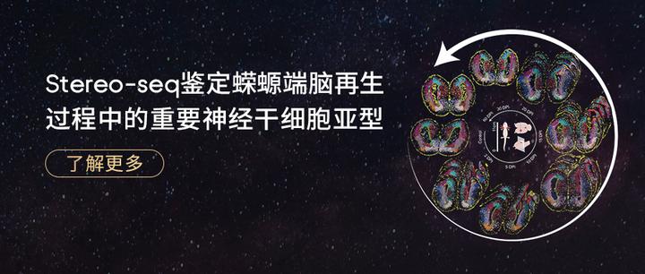 文献解读 | Science封面：Stereo-seq鉴定蝾螈端脑再生过程中的重要神经干细胞亚型 - 知乎