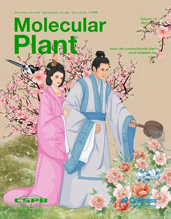 速！带你走进期刊封面的科学与艺术之美！ - 知乎