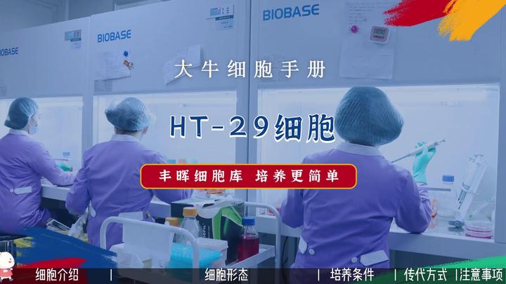 HT-29细胞培养，人结肠癌细胞培养攻略 - 知乎