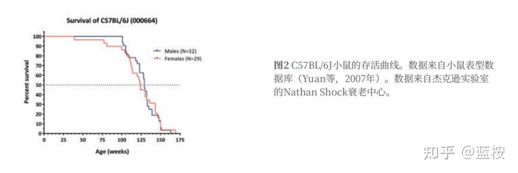 用于研究的老龄 C57BL/6J 小鼠—JAX - 知乎