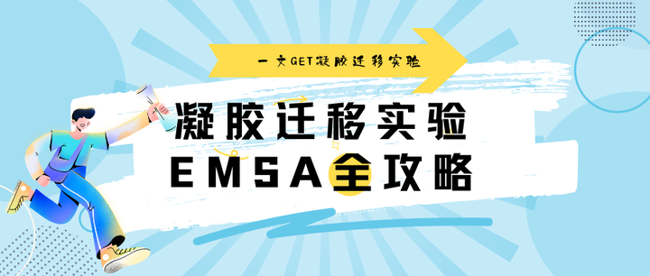 科研小伙伴快看过来！凝胶迁移实验（EMSA）详细攻略来啦~ - 知乎