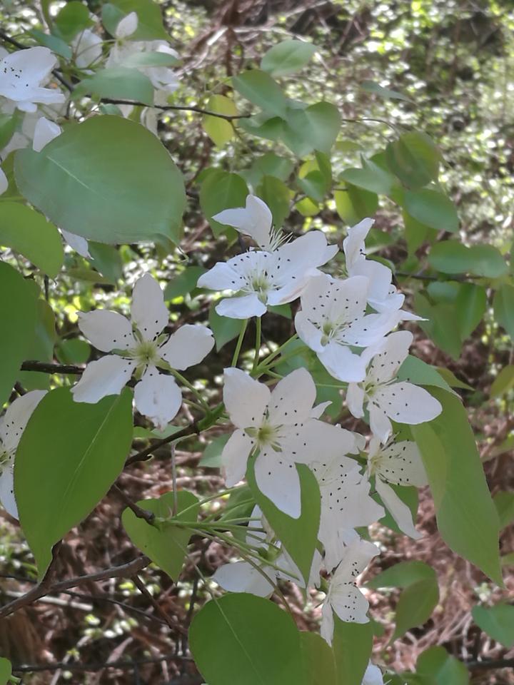 C29. 合同、协议内容之间出现冲突了怎么办？ - 知乎