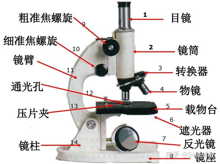 《微生物学》第一章 显微镜及其在微生物学中的应用，干货，教学版 - 知乎