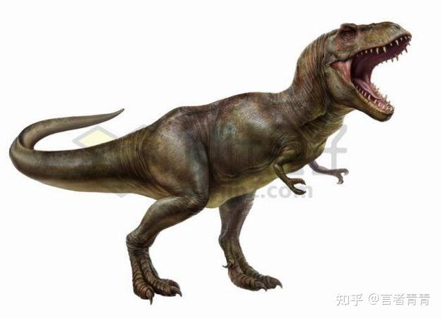 霸王龙的身体构造有哪些特点？ - 知乎