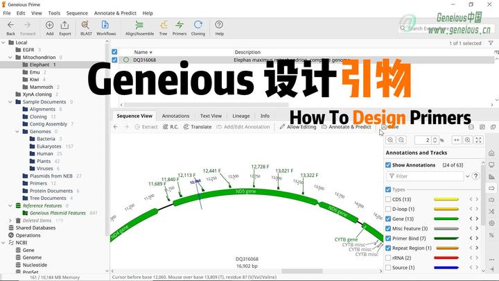 Geneious 如何设计引物 - 知乎