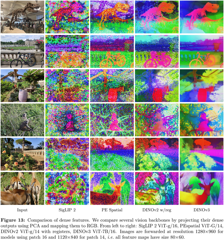 DINOv3震撼发布：Meta AI的视觉巨兽，重新定义自监督学习 - 知乎