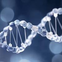 基因组学系列3：基因分型Phasing与单倍型参考序列HRC - 知乎