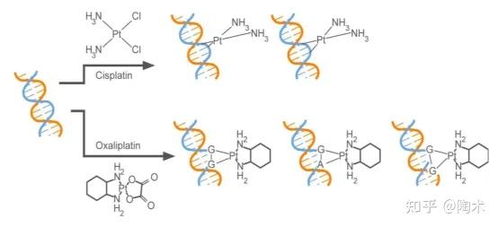 DNA 合成抑制剂——奥沙利铂（Oxaliplatin）【TargetMol】 - 知乎