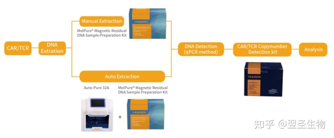CAR-T细胞载体拷贝数检测的qPCR法考量 - 知乎