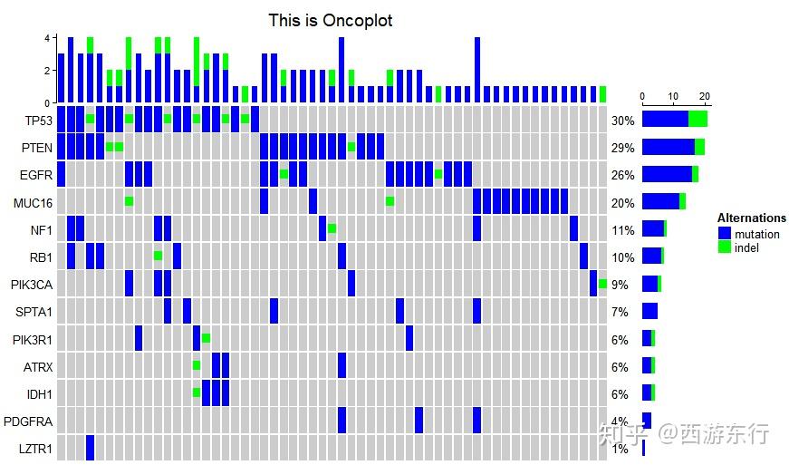 ComplexHeatmap|根据excel表绘制突变景观图（oncoplot） - 知乎