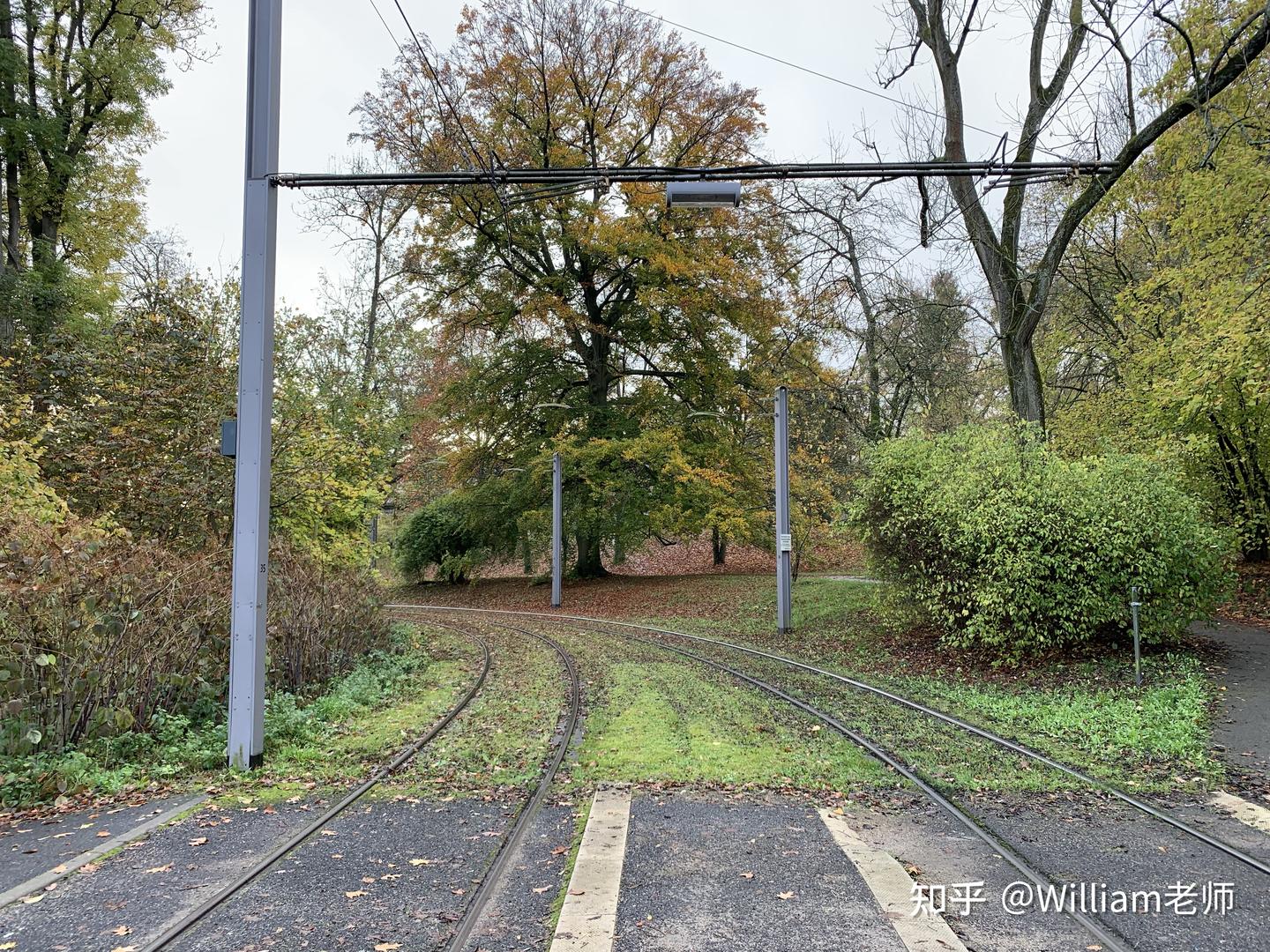 possible，probable，likely比较解析 - 知乎