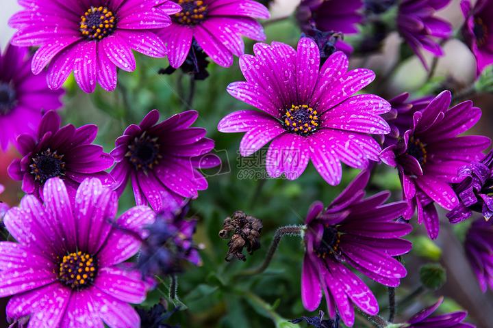 【青山点评3/8】晚盘前策略： pvc燃油pta液化气白糖苯乙烯pp - 知乎