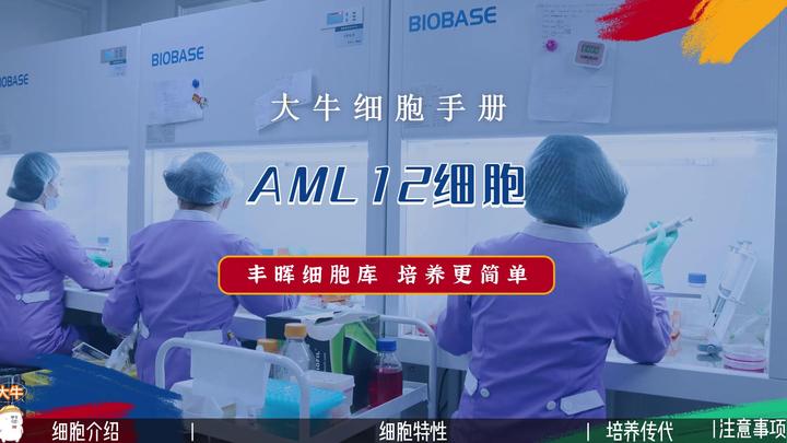 AML12细胞培养，小鼠正常肝细胞培养攻略 - 知乎