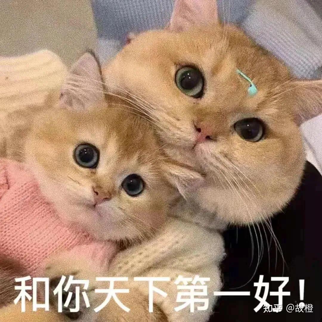 最新抖音热门表情包 - 知乎