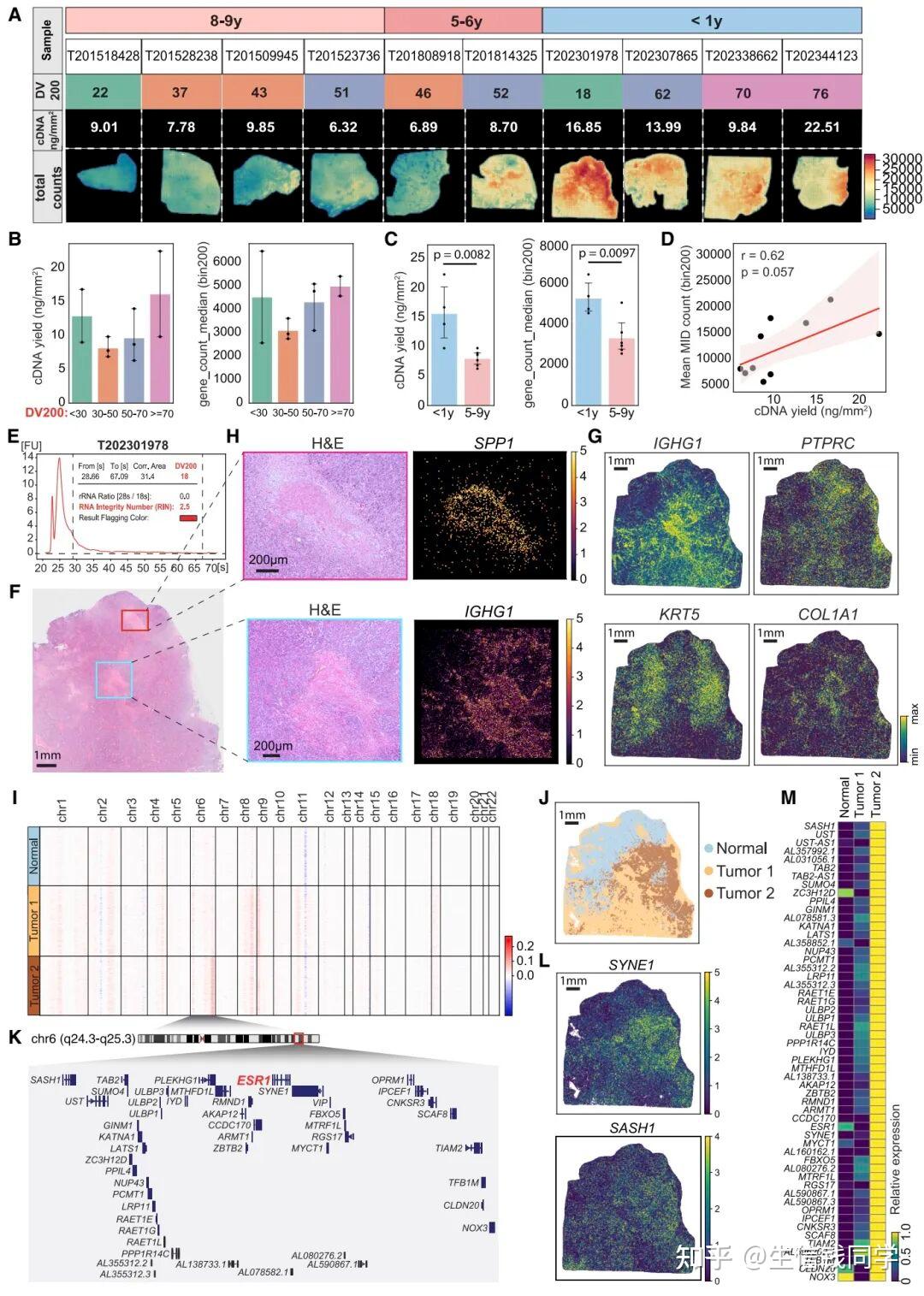 华大又发 Cell了，Stereo-seq V2空间技术升级了，解决了你之前的顾虑，真是勇于挑战国外技术的国人骄傲 - 知乎