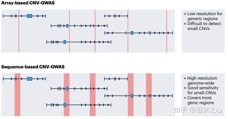 GWAS与WGS的区别？ - 知乎
