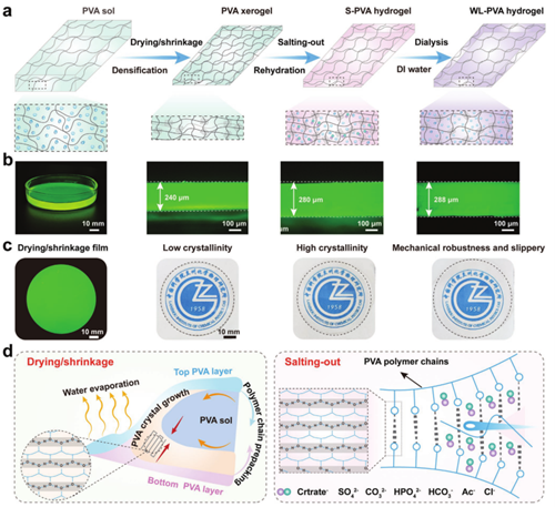 《Small》：脱水收缩与盐析作用协同结晶助PVA水凝胶更滑更强更韧 - 知乎