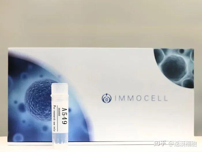 A549细胞培养的小技巧 - 知乎