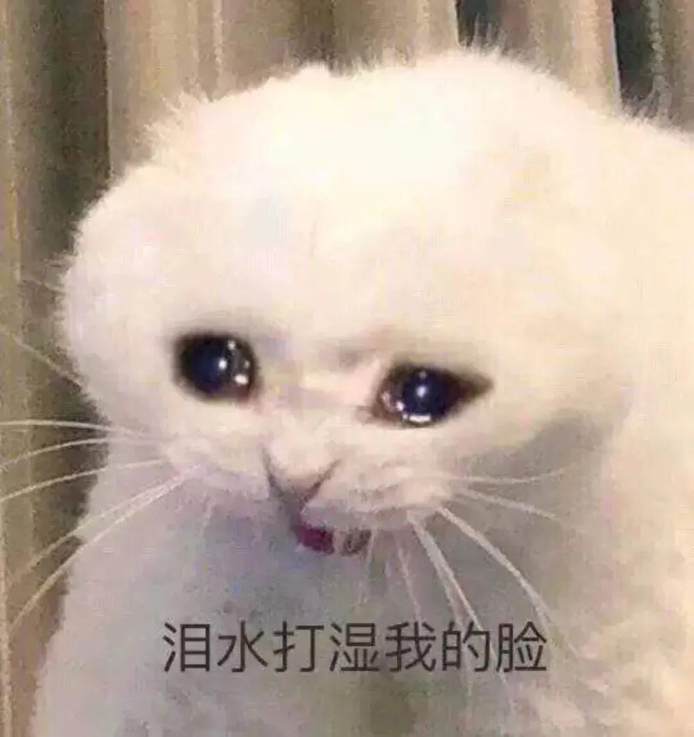 有没有大哭伤心的表情包? 知乎