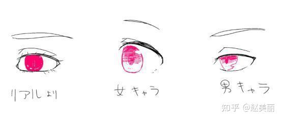 绘画新手怎么画眼睛？最先从眼睛的结构开始学习哦！ - 知乎