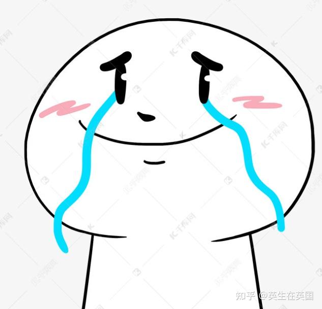 英国留学二三事之面试如何礼貌称评委 - 知乎