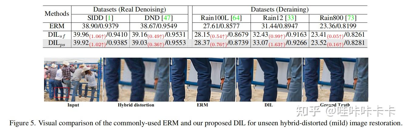 Learning Distortion Invariant Representation for Image Restoration from A Causality Perspective - 知乎