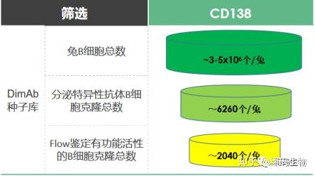 肿瘤免疫靶点 | CD138 - 知乎