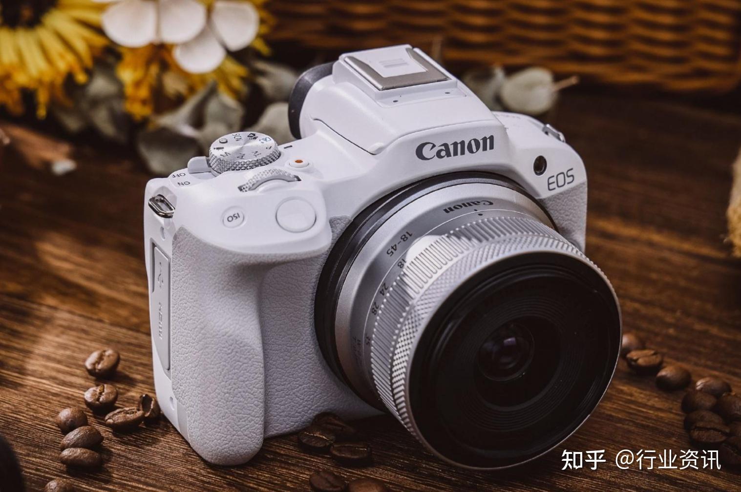 索尼zve10纯新手入怎么样? - 知乎