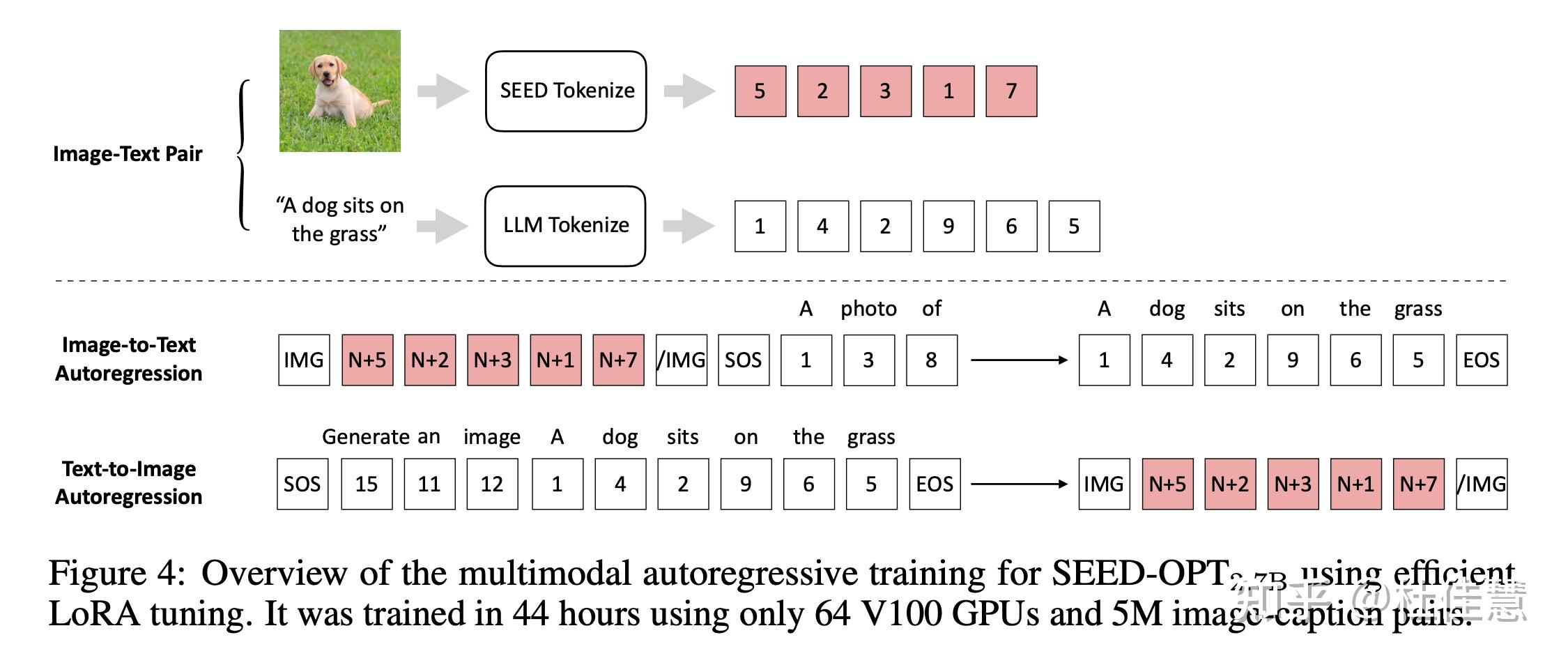 Planting a SEED of Vision in Large Language Model - 知乎