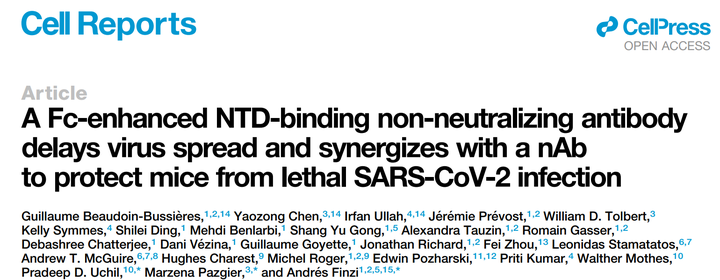 文献阅读——A Fc-enhanced NTD-binding non-neutralizing antibody delays virus ...