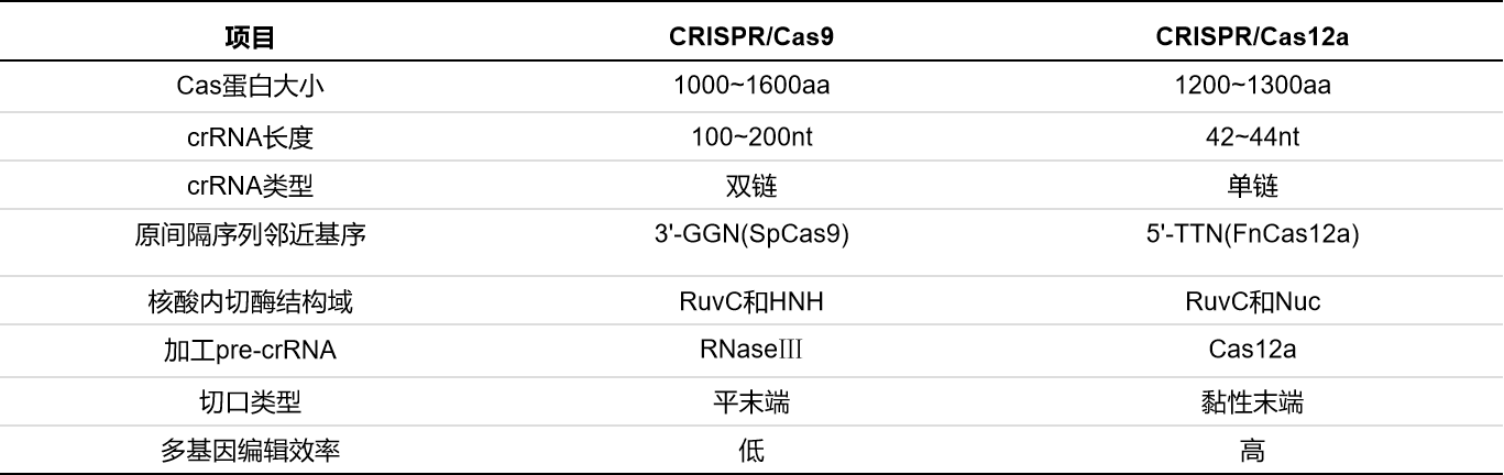 CRISPR/Cas12a基因组编辑技术及应用 - 知乎