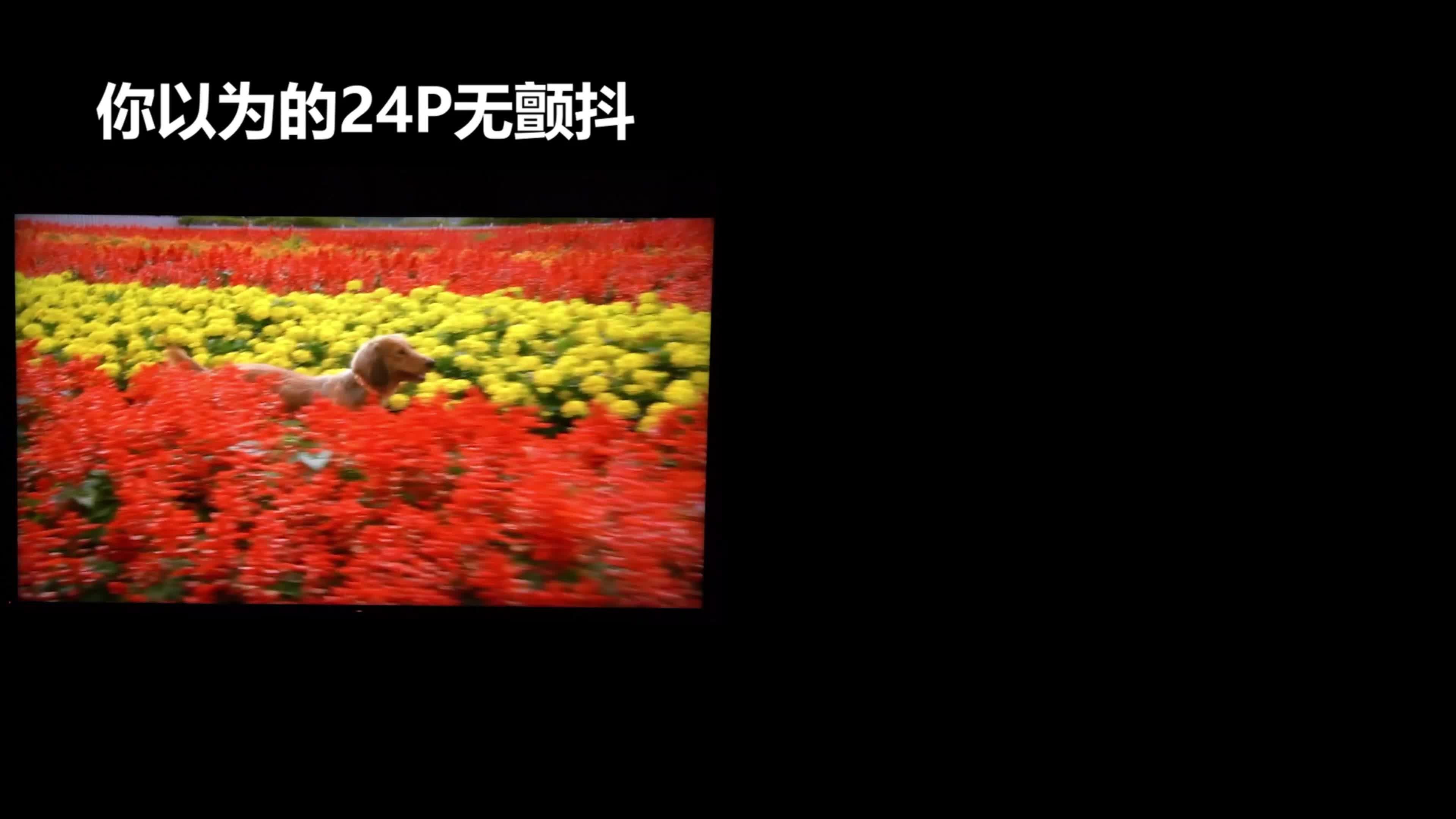 24P 无颤抖？其实抖得厉害 - 知乎